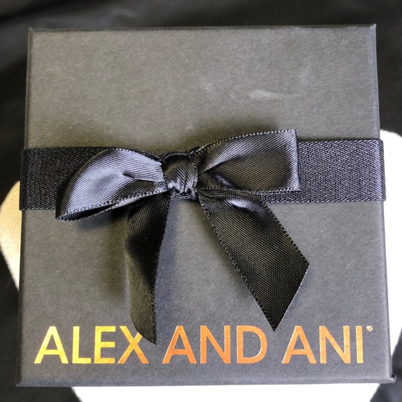 Alex and Ani | Jewelry | Alex And Ani Kindred Cord Gift Box Silver ...